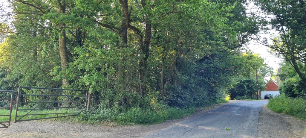 Ongley Lane, Biddenden, Kent, TN27 8HF